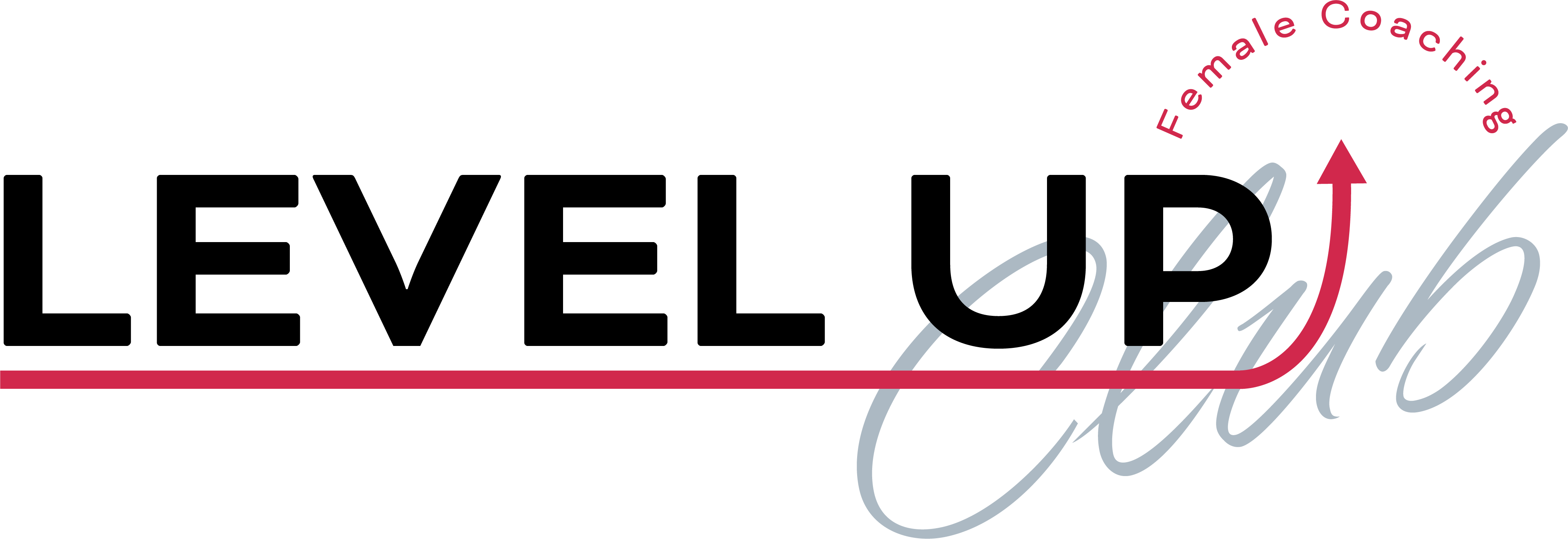 Level Up Coaching - Online Coaching